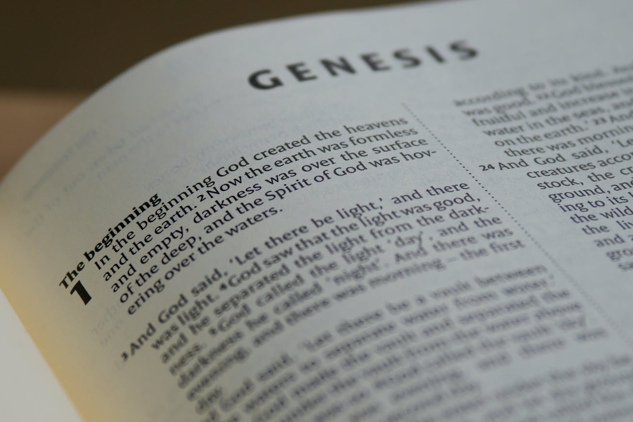 I Created You – Faith Feathers & Dust