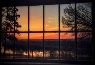 Heart Shades – Faith Feathers & Dust